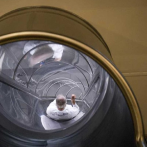 Carsten Holler: Art or Commodity? - The Art Story Blog